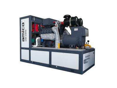 Cina Gruppo elettrogeno insonorizzato naturale del generatore 1500rpm del gas di Genset 250kw in vendita