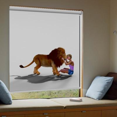China 3D Printed roller blinds for home decor kids design roller shades for sale