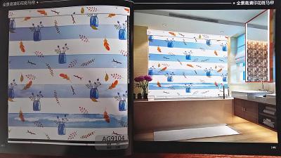 China double layer Zebra Polyester Blinds For Windows Horizontal 120g/Sqm for sale