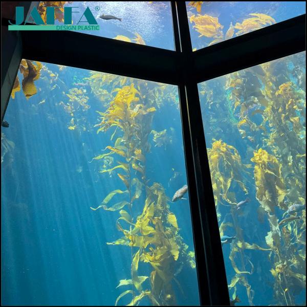 Quality Custom Acrylic Display Window for Aquarium, High-Clarity Spliced Viewing Panel, Marine Life Ecological Tank Window for sale