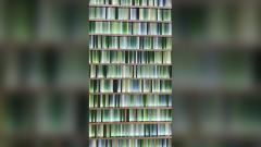 Acrylic Art Ceiling & Wall System – Immersive Visual Solution for High-End Public Spaces