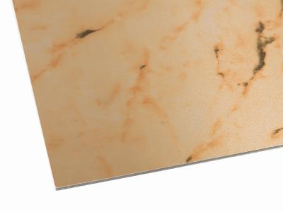Cina Wooden Aluminum Comlosite Panel in vendita