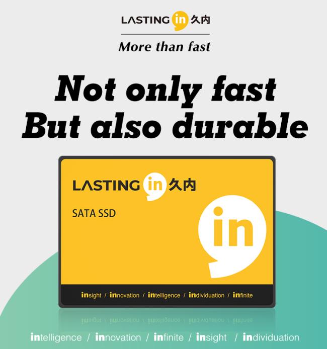 LASTINGIN 2.5-inch SATA SSD Internal Solid State Drive