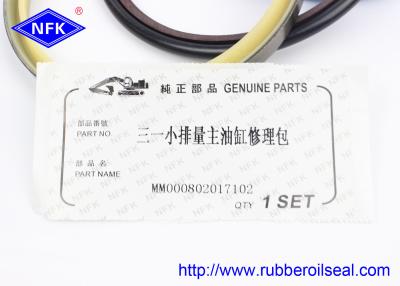 Cina Guarnizioni idrauliche per la riparazione Kit Main Cylinder Seal Kits del cilindro dell'oscillazione del tuffatore delle pompe per calcestruzzo di Sany in vendita