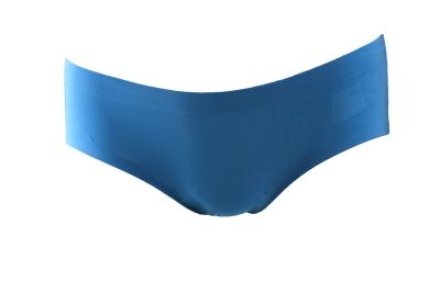 China Comfortable Lake Blue Pretty Girls Bikinis ,  Breathable Microfiber Seamless Panties for sale