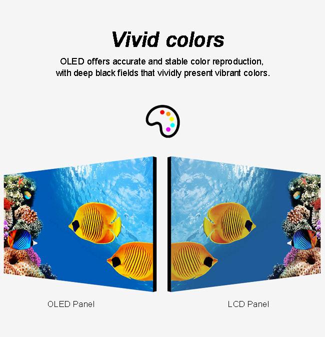 Display mounted in retail environment