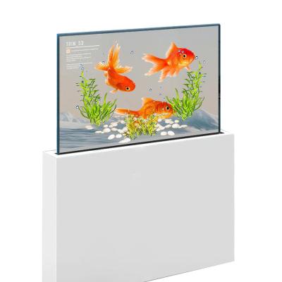 China Sleek See Through Clear Oled Screen Touchscreen Anti Glare Transparent Oled for sale