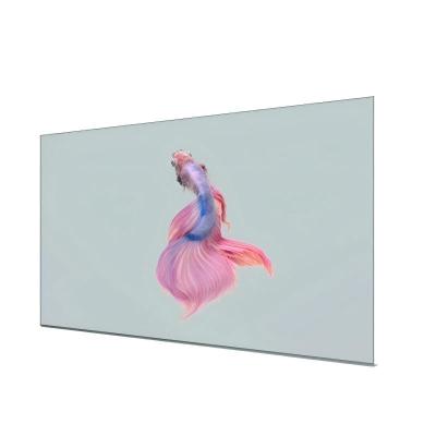 China Shopping Mall Advertising See Through Lcd Screen High Transparency Full Color for sale