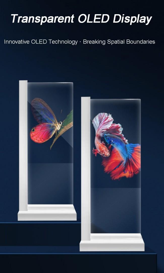 49-inch OLED Transparent Display in commercial setting