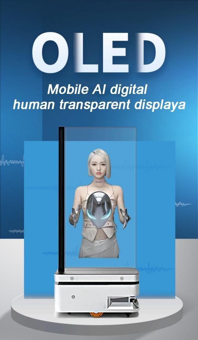 49-inch Translucent OLED Display in commercial setting