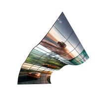 China 55-inch 360 IPS Flexible OLED Touch Screen with 1500R Curvature and 3.8mm Thin Profile for Commercial Displays for sale