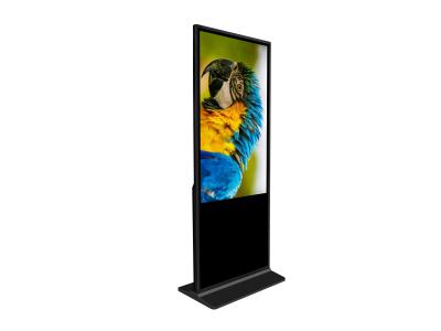 Cina Regolatore a distanza di IR del pavimento del touch screen del chiosco di sostegno LCD diritto a 49 pollici di Titem per annunciare in vendita