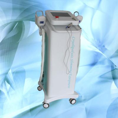 China Coolsculpting | Cryolipolysis Slimming Machine with 10.4 inch touch for sale