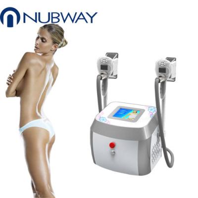 China Coolsculpting Cryolipolysis Slimming Machine For Body Shaping with Touch Screen for sale