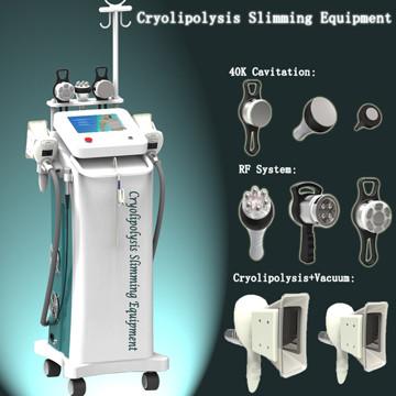 China Professional fat reduction cryolipolysis slimming machine with 5 handles for sale