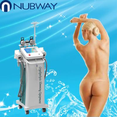 China cryolipolysis slimming machine with 5 handles and 10.4 inch screen touch control for sale