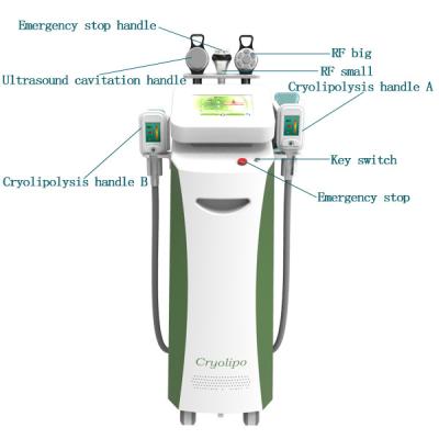China CE FDA criolipolisis cryotherapy slimming Laser cool body fat freeze slimming machine for sale