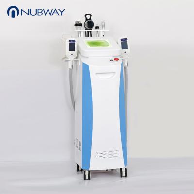 China Max -15 Celsius fat cell freezing commercial slimming body cold sculpting machines for sale