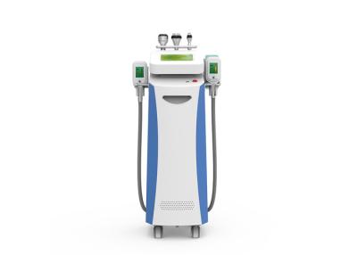 China coolshape fat freeze beauty slimming machine for spa and clinic for sale