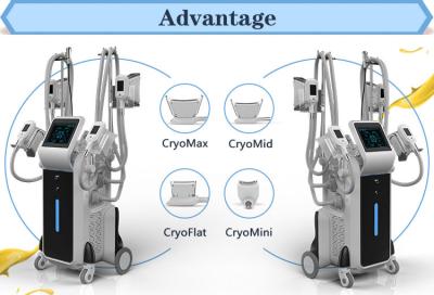 China -15 degree celsius  cryolipolysis slimming machine with double chin handle for sale