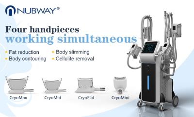 China strong cooling system cryolipolysis slimming machine with double chin handle for sale