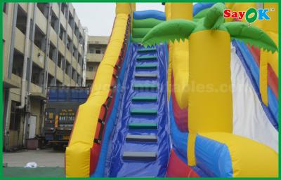China Childrens Inflatable Slide 5 X 8 Giant Outdoor Commercial Inflatable Bouncer Slide Double Slide for sale