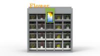 China Flower Vending Machine Gift Vending Machine  Flower VM for sale