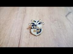 Carnival Lapel Pin