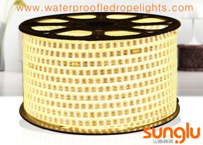 China 2835 180D Waterproof LED Rope Lights Double Rows Warm White LED Rope Lamp for sale