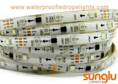 China DC12V Addressable  5050 Flexible LED Strip Light , Silicon Waterproof  IP65  LED  Tape for sale