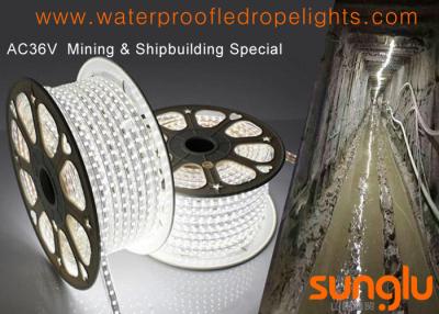 China AC 36V Waterproof LED Rope Lights For Mining / Shipbuilding Light System for sale