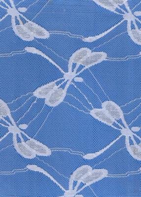 China Fancy design Lace Fabric Suitable for Garment Available in Different Colors for sale
