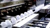 China Harpic Automatic Plastic Bottle Making Machine Milk Bottle Blow Molding Machine for sale