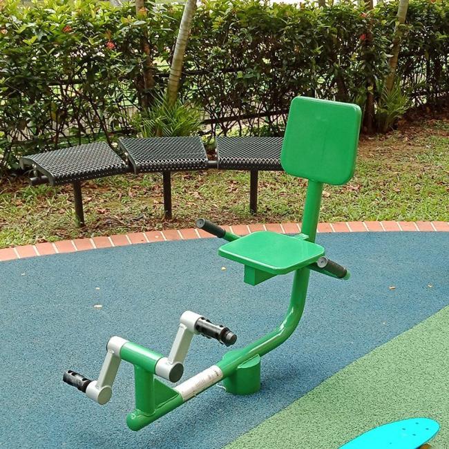 Outdoor Arm Bike and Strength Trainer Handicapped Fitness Equipment Gym