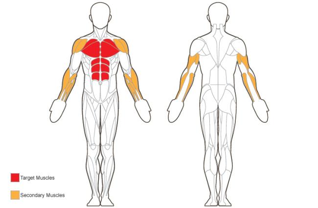 Get Ripped Outdoors Experience The Power of The Lat Pull Down Fitness Equipment