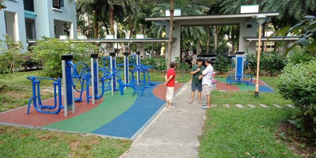 Outdoor Fitness Equipment-The Roller (GYX-L49)