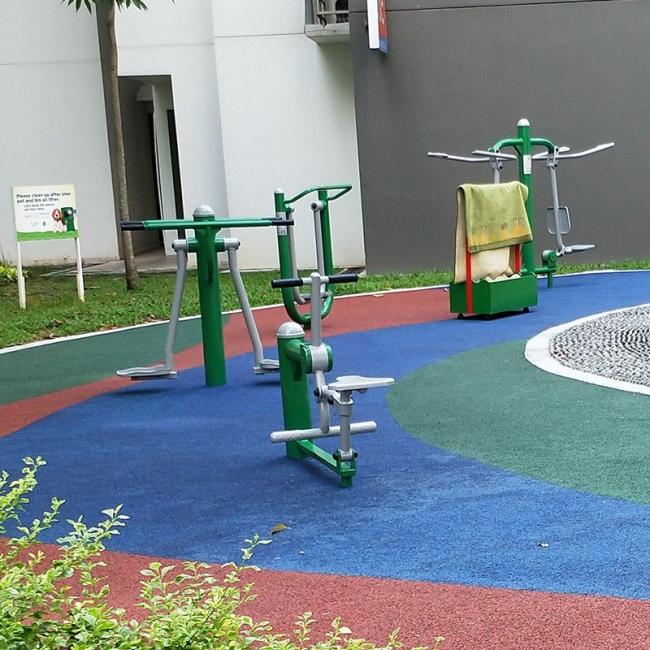 Outdoor Gym Equipment with Star-Picker