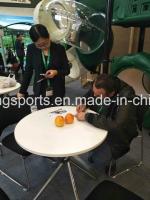 China Push-up and DIP Station in Park for sale
