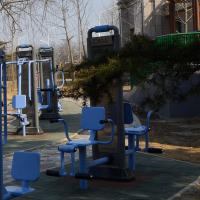 China Upper Limbs Stretcher in Outdoor for sale