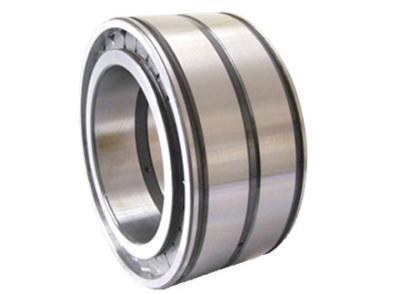 Cina Blocchetto di cuscino che sopporta cuscinetto a rulli cilindrico SL045004-PP 20x42x30mm in vendita