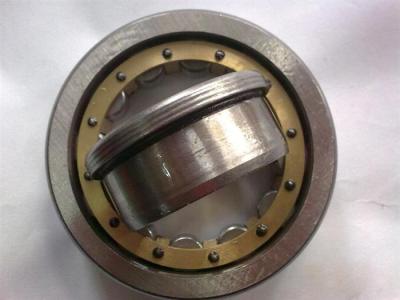 Cina Flangia NJ305EM/C3 dentro l'acciaio al cromo Cilindrico dei cuscinetti a rulli di singola fila dell'anello V3 in vendita