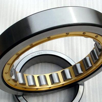 Cina Cuscinetti a rulli cilindrico 260mm x 480mm x 80mm di fila del doppio mA/C3 di NJ 252 in vendita