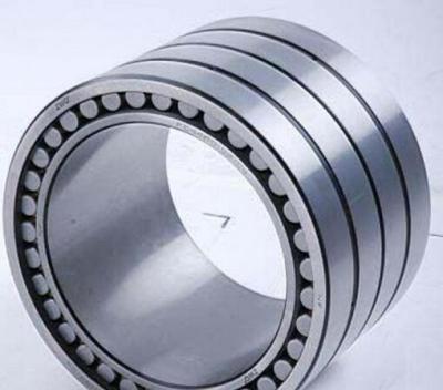 Cina Alta precisione cilindrica tetrastica INA FC2842125 del cuscinetto a rulli di marca di SKF in vendita