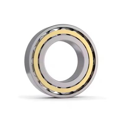 China Partes de máquinas N1060 Rolamentos cilíndricos de rolos de aço Produtor profissional de rolamentos à venda