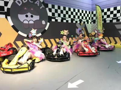Cina Personalizzato Sì Colorato Karts del Parco Supercaricato e duraturo per età 8 anni in vendita