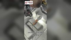 The outstanding team of Youge mould
