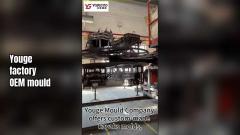 Youge mould company OEM