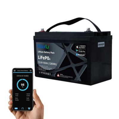 Cina Comunicazione smontabile della batteria 12V 100Ah Bluetooth APP di caso DIY Lifepo4 in vendita