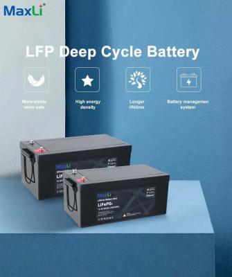 Cina Capacità elevata a energia solare MaxLi della batteria 12V 300Ah del sistema LiFePO4 in vendita