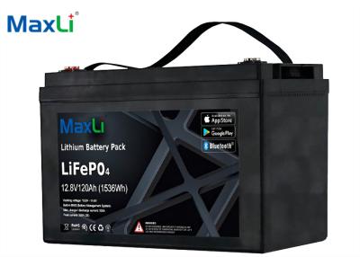 Cina Grado della batteria di recinzione 12V 120Ah LiFePO4 dell'ABS una funzione del monitor di Bluetooth in vendita